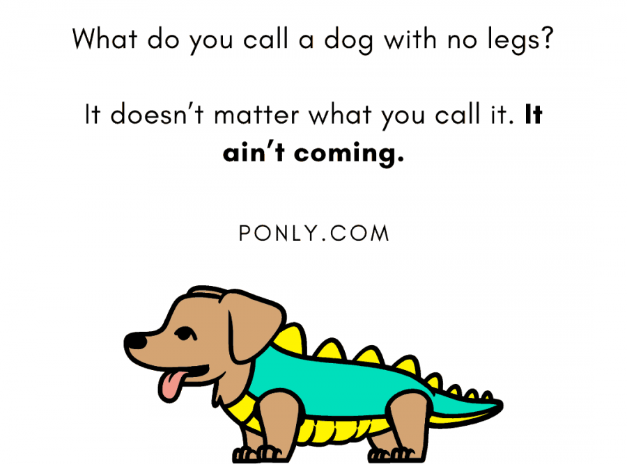 The 127 Best Dark Humor Jokes 2025