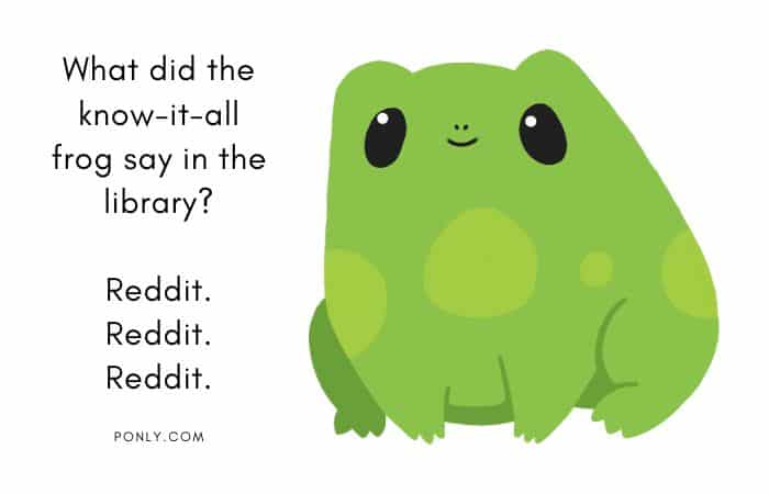 50 Funny Frog Puns and One-Liners